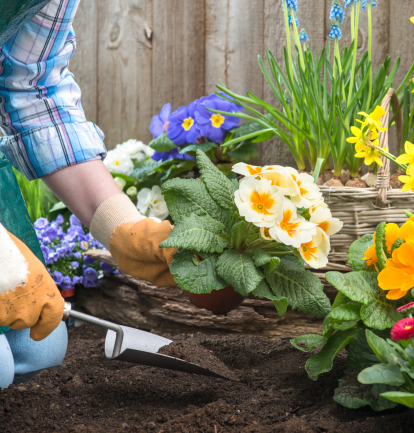 Summer Activities for Older Adults in Rockville, MD | The Village at ...
